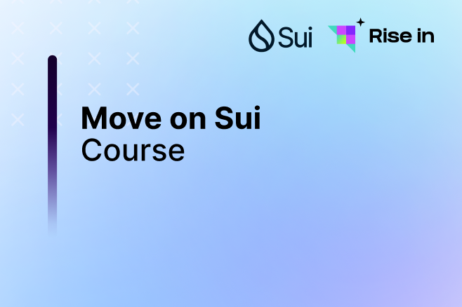 Install Sui on Windows Lesson