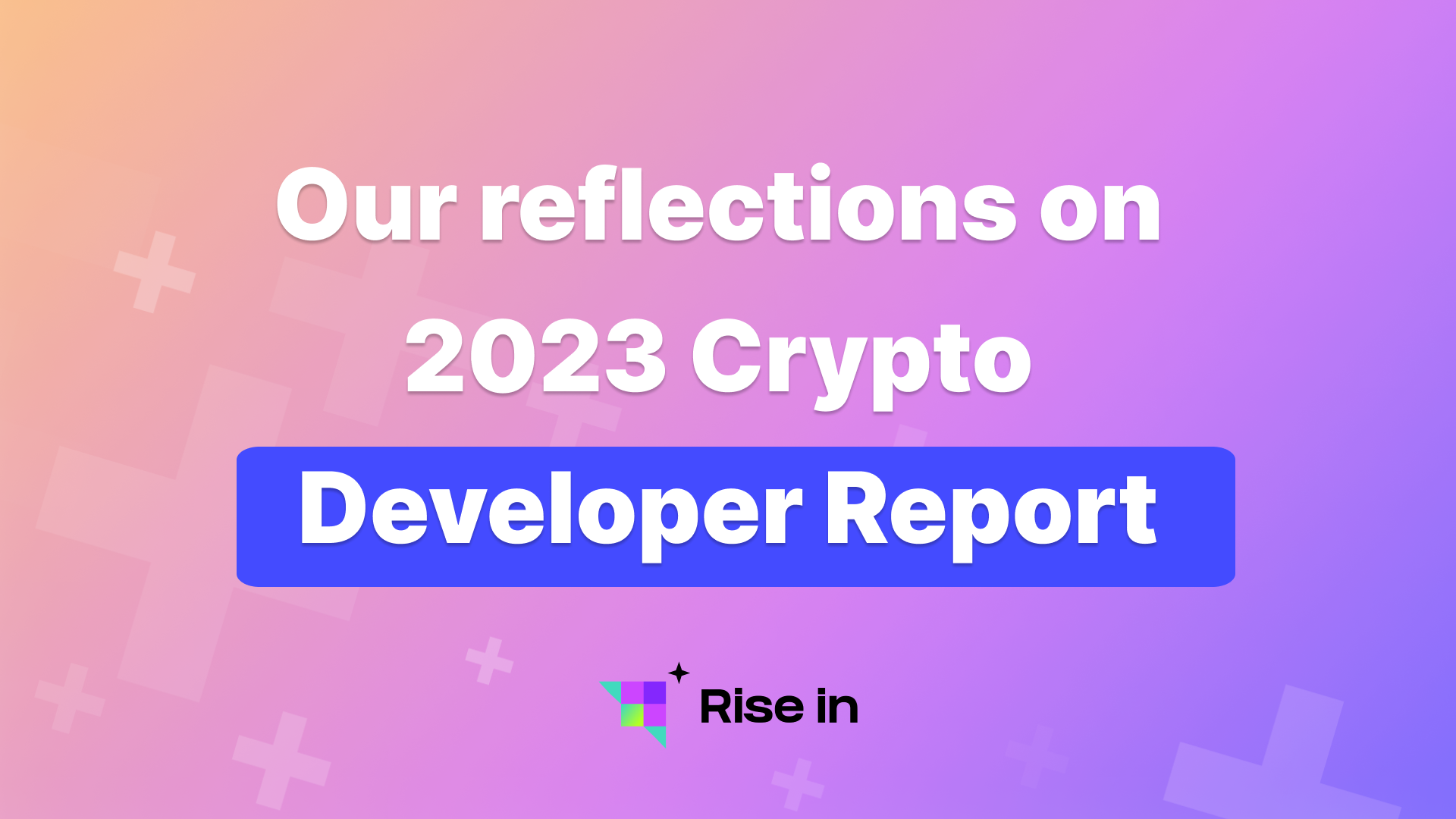 Rise In’s Reflections on 2023 Crypto Developer Report